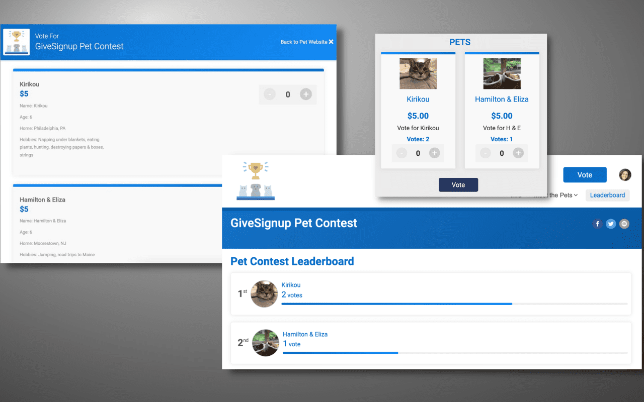 How to Host a Voting Contest Fundraiser - TicketSignup