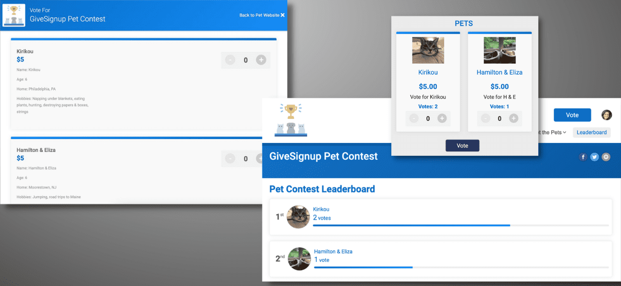 How to Host a Voting Contest Fundraiser - TicketSignup
